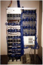 Welcome to Tennex Online